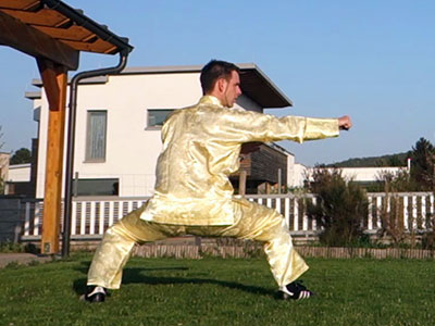 Shaolin Five Animals -- Part 3