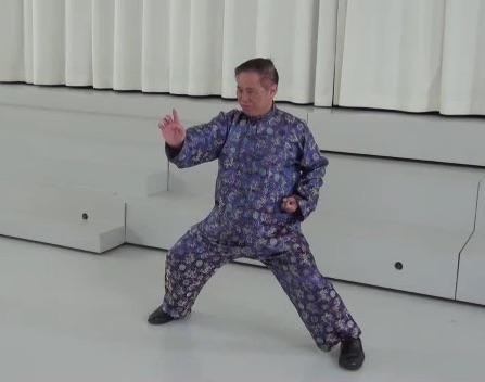 Essence of Shaolin -- Modification, Specialization, Development, Spirit ...