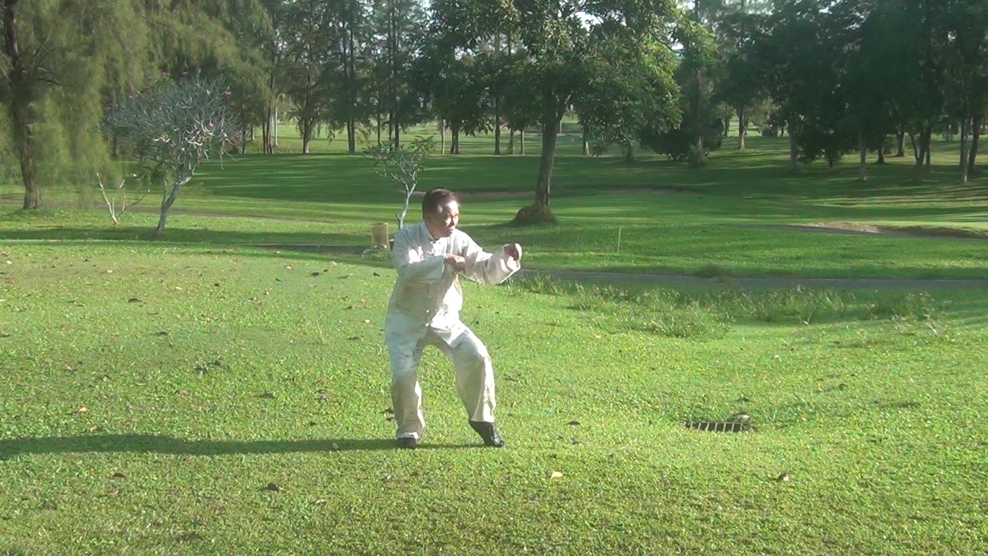 Crushing Fist of Praying Mantis Kungfu in Pictures