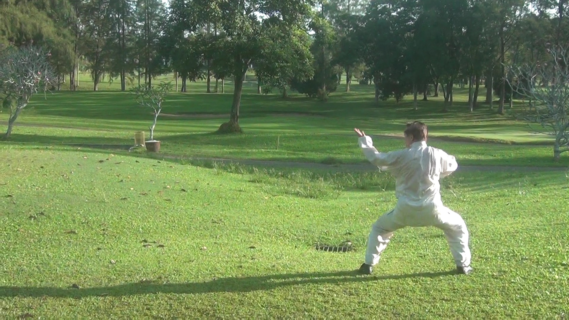 Crushing Fist of Praying Mantis Kungfu in Pictures