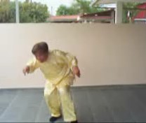 Shaolin Kungfu Sets in Still Pictures — Shaolin Monkey Set