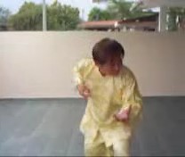 Shaolin Kungfu Sets in Still Pictures — Shaolin Monkey Set