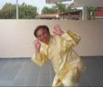 Shaolin Kungfu Sets in Still Pictures — Shaolin Monkey Set