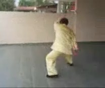 Shaolin Kungfu Sets in Still Pictures — Shaolin Monkey Set