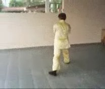 Shaolin Kungfu Sets in Still Pictures — Shaolin Monkey Set