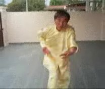 Shaolin Kungfu Sets in Still Pictures — Shaolin Monkey Set