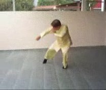 Shaolin Kungfu Sets in Still Pictures — Shaolin Monkey Set