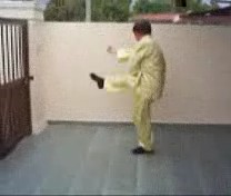 Shaolin Kungfu Sets in Still Pictures — Shaolin Monkey Set