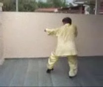 Shaolin Kungfu Sets in Still Pictures — Shaolin Monkey Set