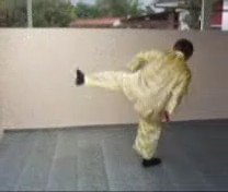 Shaolin Kungfu Sets in Still Pictures — Shaolin Monkey Set