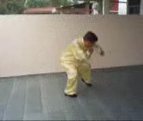 Shaolin Kungfu Sets in Still Pictures — Shaolin Monkey Set