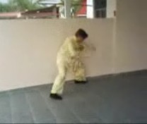 Shaolin Kungfu Sets in Still Pictures — Shaolin Monkey Set