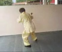 Shaolin Kungfu Sets in Still Pictures — Shaolin Monkey Set