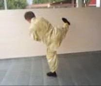 Shaolin Kungfu Sets in Still Pictures — Shaolin Monkey Set