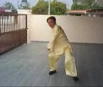 Shaolin Kungfu Sets in Still Pictures — Shaolin Monkey Set