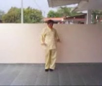 Shaolin Kungfu Sets in Still Pictures — Shaolin Monkey Set