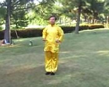 Kungfu Set in Still Pictures — Tiger-Crane Set