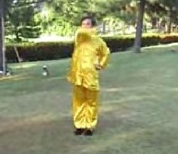 Kungfu Set in Still Pictures — Tiger-Crane Set