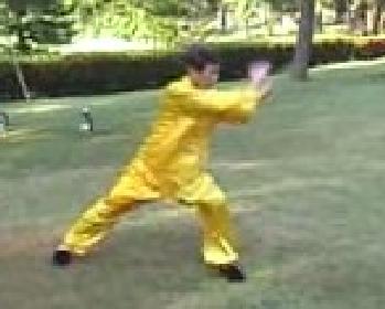 Kungfu Set in Still Pictures — Tiger-Crane Set