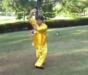 Kungfu Set in Still Pictures — Tiger-Crane Set