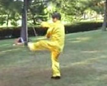 Kungfu Set in Still Pictures — Tiger-Crane Set