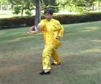 Kungfu Set in Still Pictures — Tiger-Crane Set