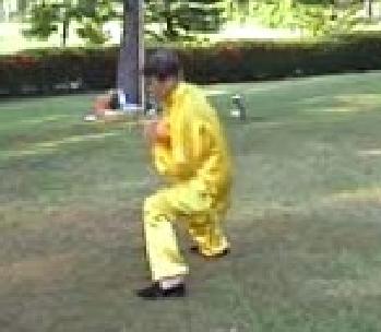 Kungfu Set in Still Pictures — Tiger-Crane Set