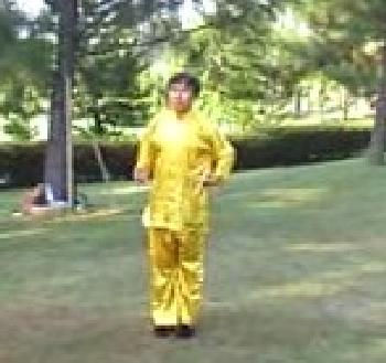 Kungfu Set in Still Pictures — Tiger-Crane Set