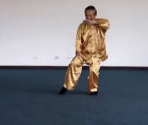 Picture Series: Wahnam Taijiquan Simplified Set (Cloud Hands)