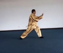 Picture Series: Wahnam Taijiquan Simplified Set (Cloud Hands)