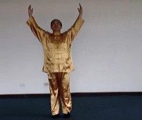 Picture Series: Wahnam Taijiquan Simplified Set (Cloud Hands)