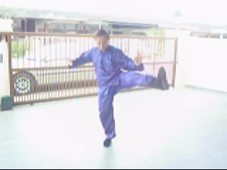 Flowing Water Floating Clouds -- Picture Series