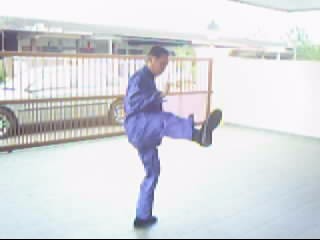 Flowing Water Floating Clouds -- Picture Series