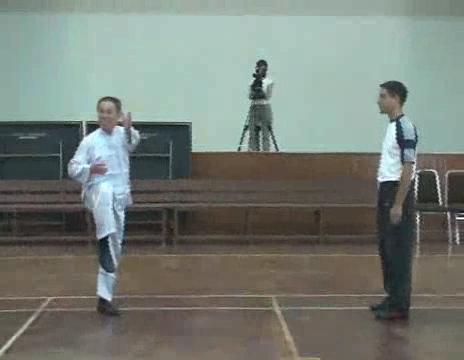 Video Clip Series: Glimpses of Special Chin-Na Course — Part 3