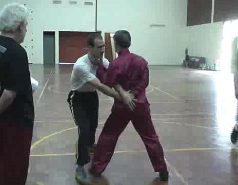 Video Clip Series: Glimpses of Special Chin-Na Course — Part 9