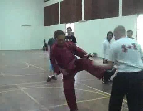 Video Clip Series: Glimpses of Special Chin-Na Course — Part 9