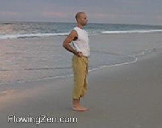 Shaolin Kungfu Sets in Still Pictures — Shaolin Traveling Dragon Pakua ...