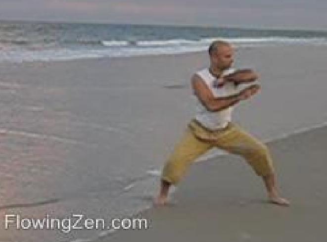 Shaolin Kungfu Sets in Still Pictures — Shaolin Traveling Dragon Pakua ...