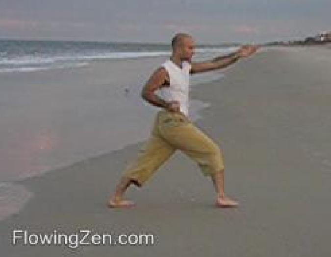 Shaolin Kungfu Sets in Still Pictures — Shaolin Traveling Dragon Pakua ...