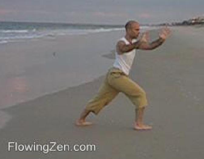 Shaolin Kungfu Sets in Still Pictures — Shaolin Traveling Dragon Pakua ...