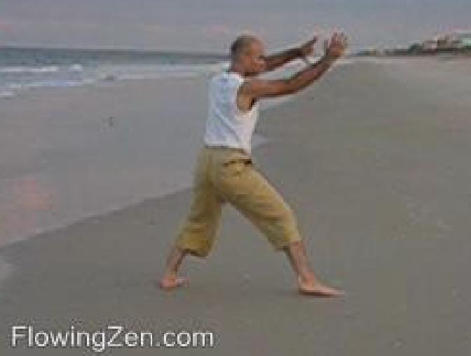 Shaolin Kungfu Sets in Still Pictures — Shaolin Traveling Dragon Pakua ...