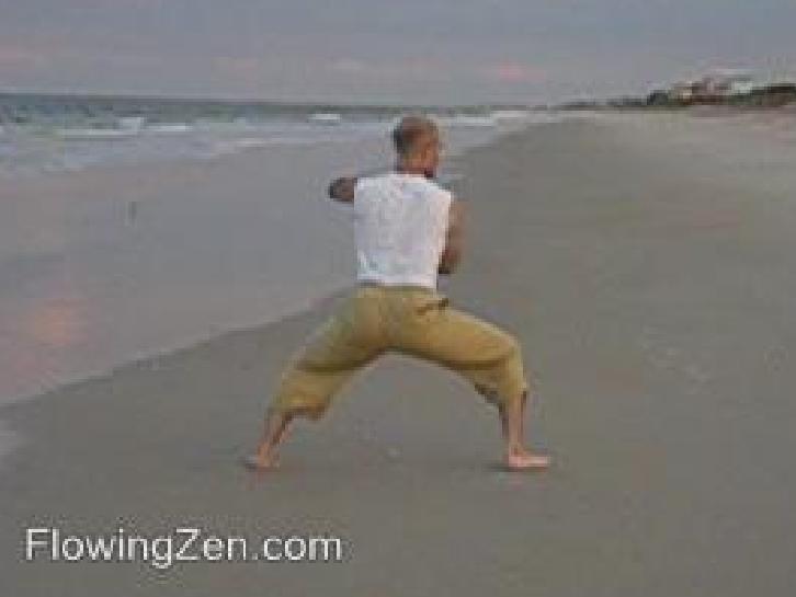 Shaolin Kungfu Sets in Still Pictures — Shaolin Traveling Dragon Pakua ...