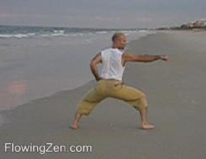 Shaolin Kungfu Sets in Still Pictures — Shaolin Traveling Dragon Pakua ...