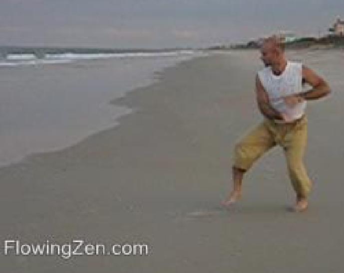 Shaolin Kungfu Sets in Still Pictures — Shaolin Traveling Dragon Pakua ...