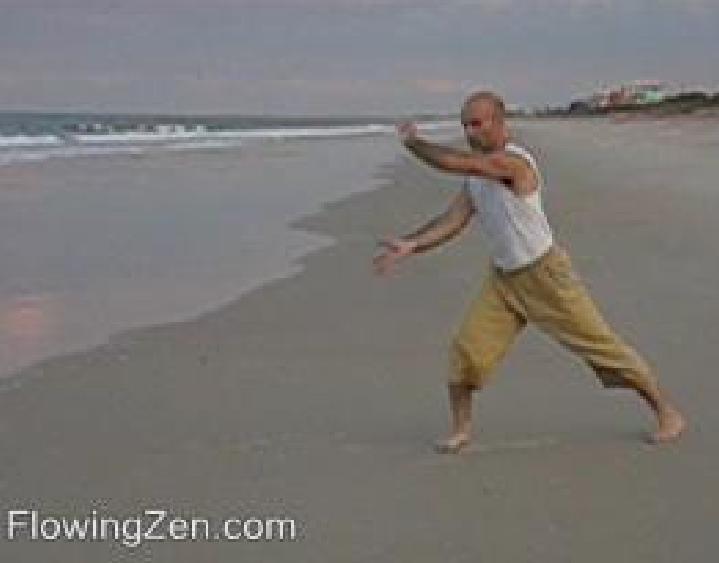 Shaolin Kungfu Sets in Still Pictures — Shaolin Traveling Dragon Pakua ...