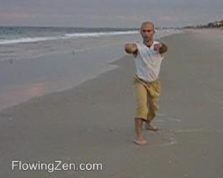 Shaolin Kungfu Sets in Still Pictures — Shaolin Traveling Dragon Pakua ...