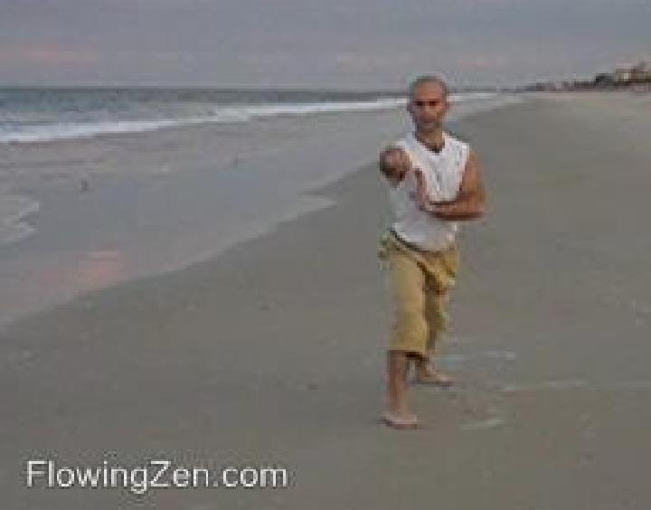 Shaolin Kungfu Sets in Still Pictures — Shaolin Traveling Dragon Pakua ...