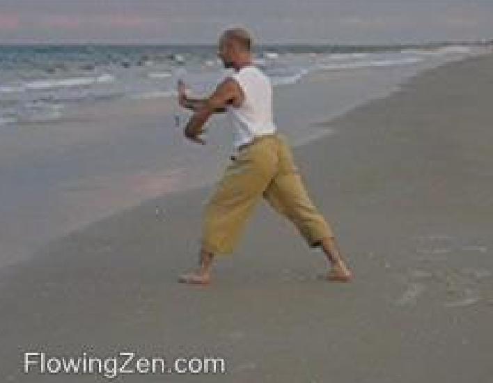 Shaolin Kungfu Sets in Still Pictures — Shaolin Traveling Dragon Pakua ...