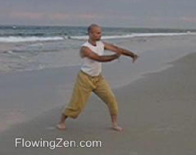 Shaolin Kungfu Sets in Still Pictures — Shaolin Traveling Dragon Pakua ...