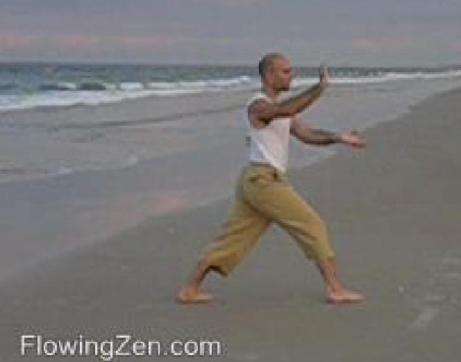 Shaolin Kungfu Sets in Still Pictures — Shaolin Traveling Dragon Pakua ...